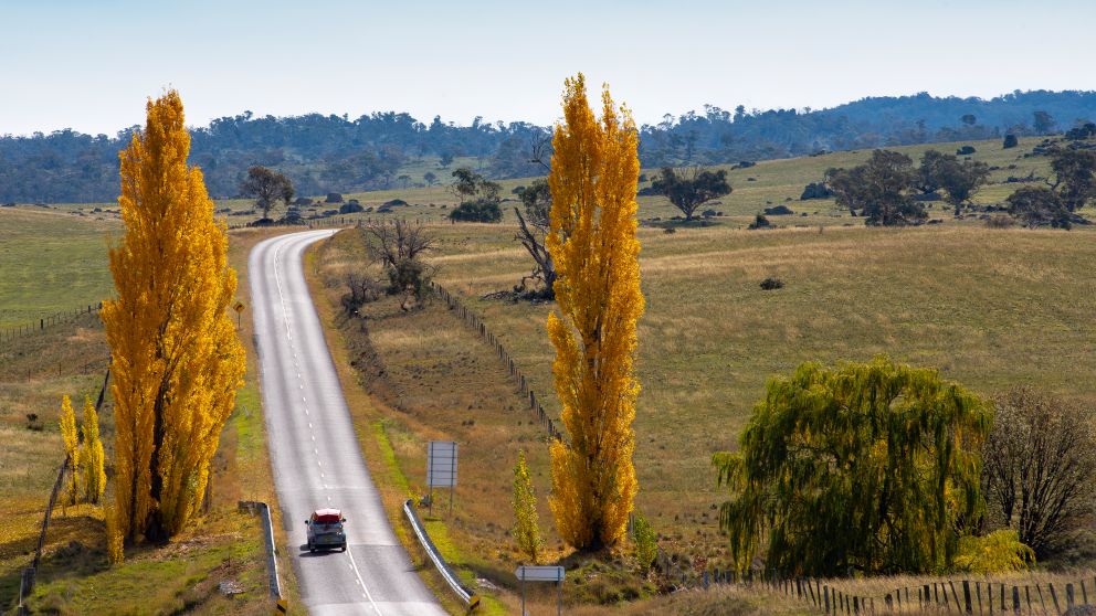 Berridale - Accommodation, things to do & more | Visit NSW