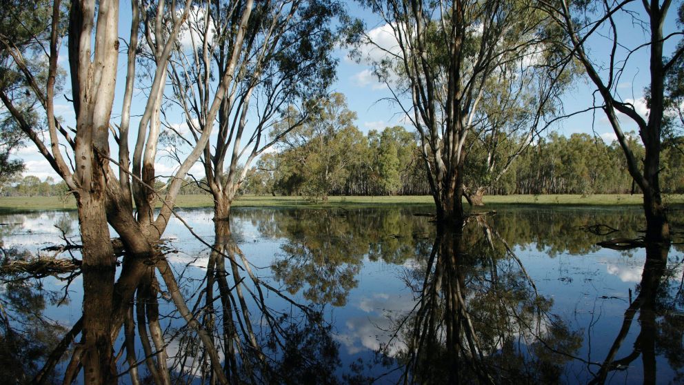 Tocumwal, The Murray - Accommodation, things to do & more | Visit NSW