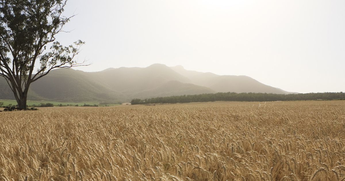 Moree & Narrabri Area - Accommodation, Attractions & Events