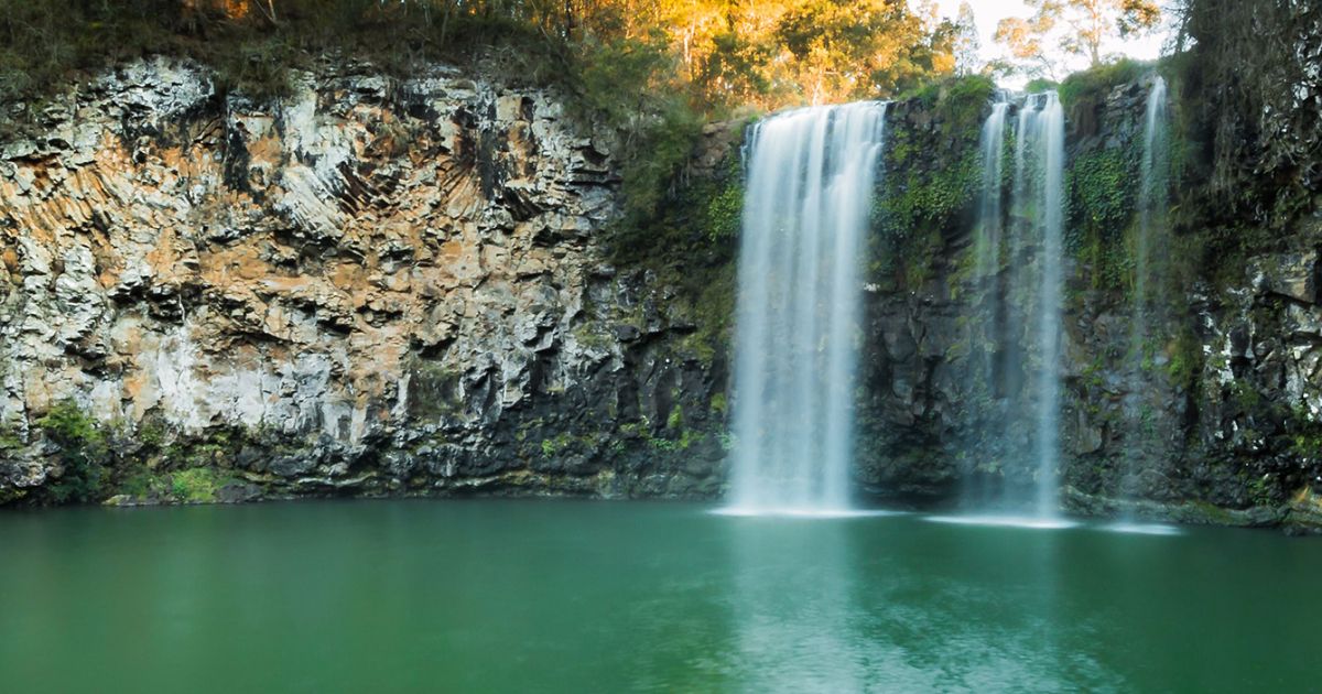 Dorrigo NSW - Plan a Holiday - Dorrigo National Park, Waterfalls ...