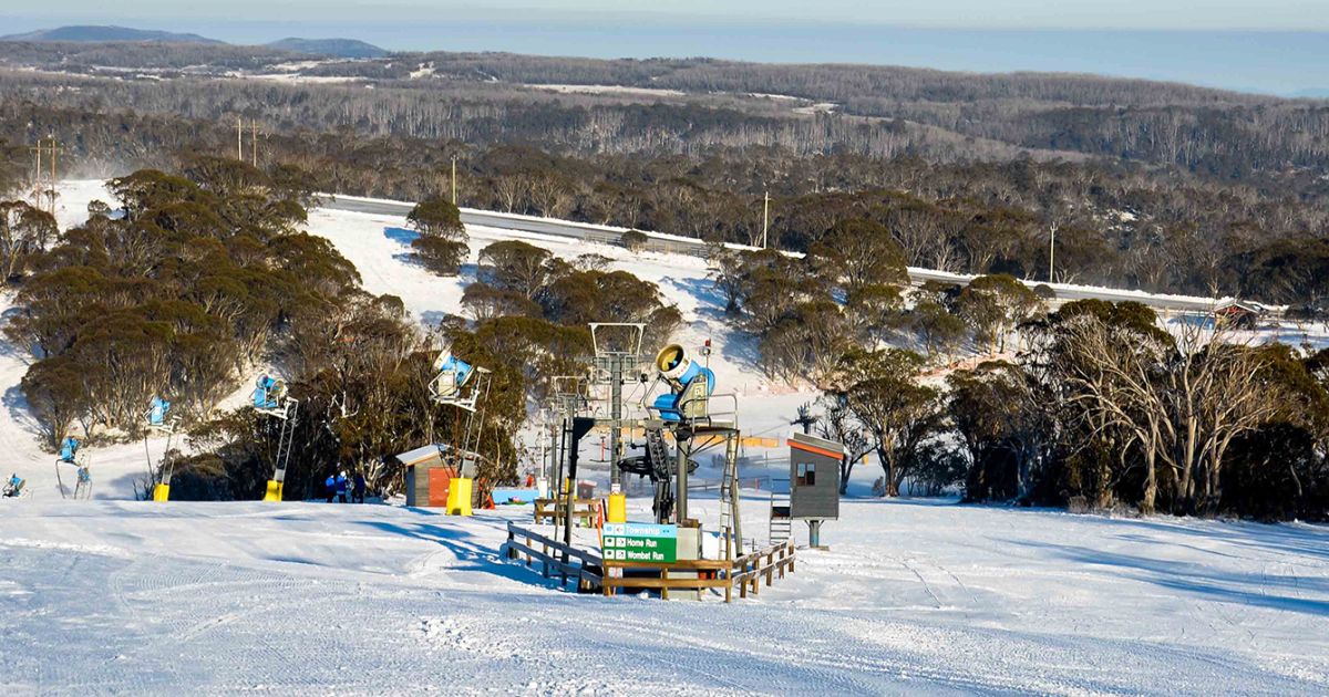 Mount Selwyn - Accommodation, Maps, Attractions & Events