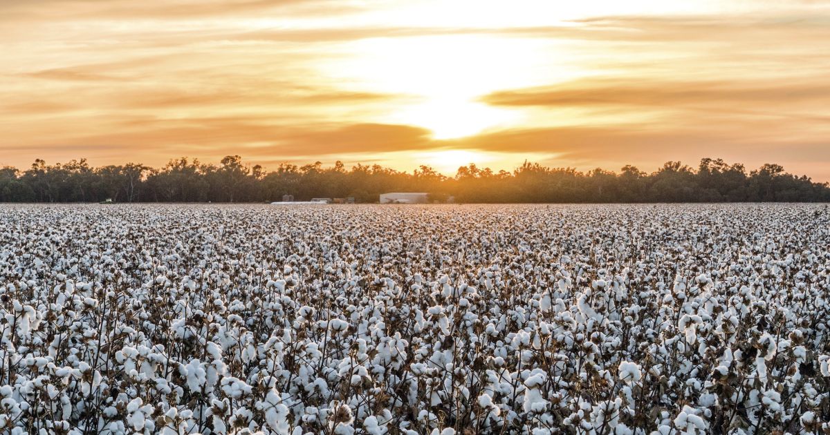 Condobolin NSW - Accommodation, Maps, Attractions & Events