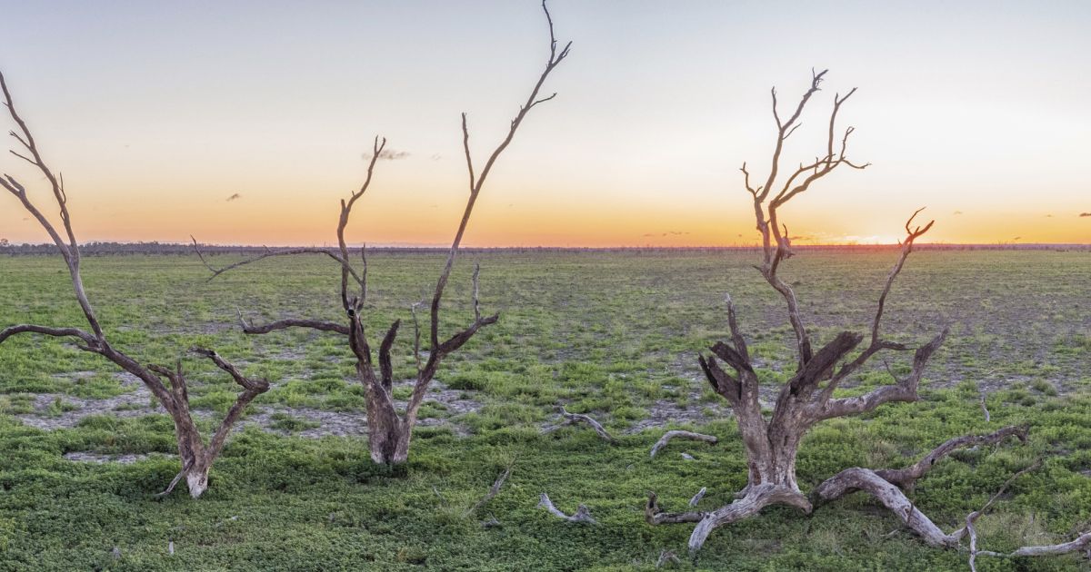 Menindee Lakes - Plan a Holiday - Accommodation, Maps & Fishing