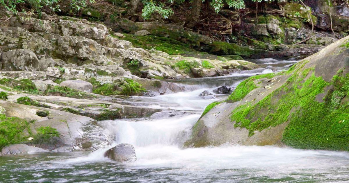 Dungog NSW - Plan a Holiday - Things to Do, Accommodation & Maps