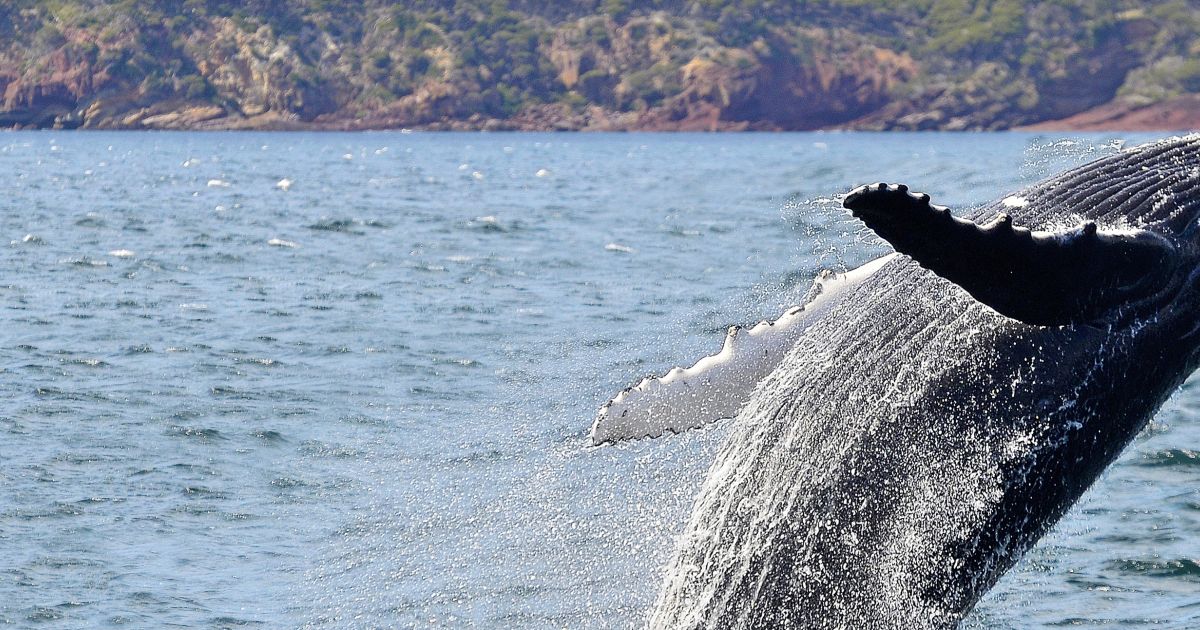 Merimbula & the Sapphire Coast - South Coast NSW | Visit NSW