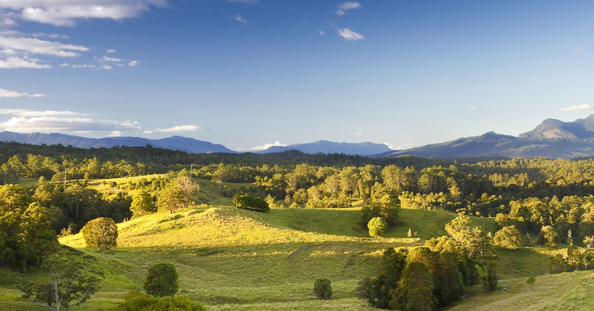 Murwillumbah NSW - Plan a Holiday - Maps, Hotels & Caravan Parks