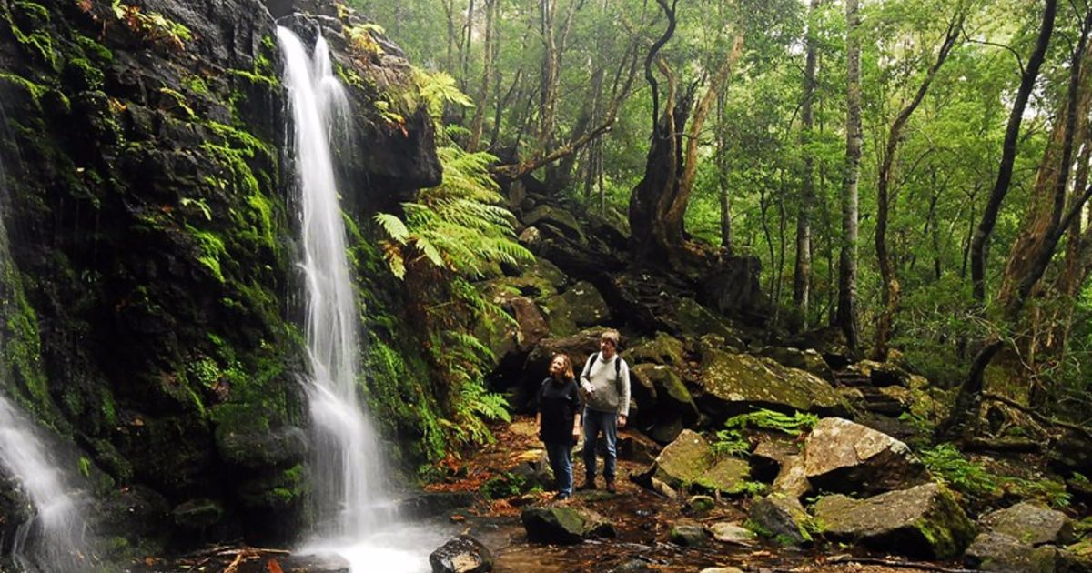 Bundanoon NSW - Plan a Holiday - Guest Houses ... - Visit NSW