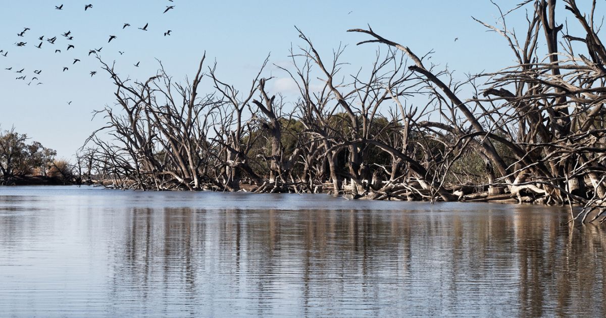 Menindee Lakes - Plan a Holiday - Accommodation, Maps & Fishing