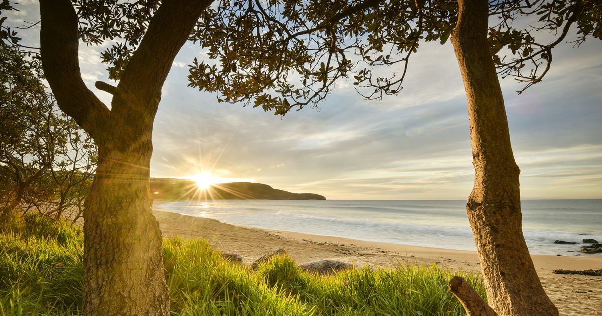 Killcare, Central Coast – Accommodation, things to do & more | Visit NSW