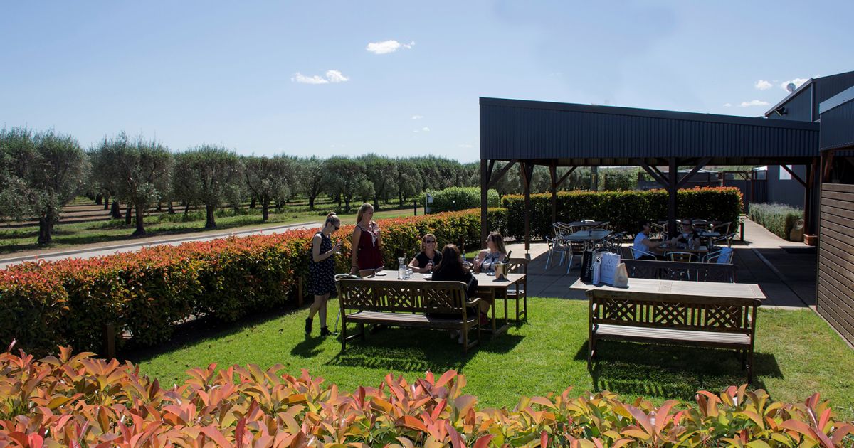 Muswellbrook NSW - Things To Do, Accommodation & Camping