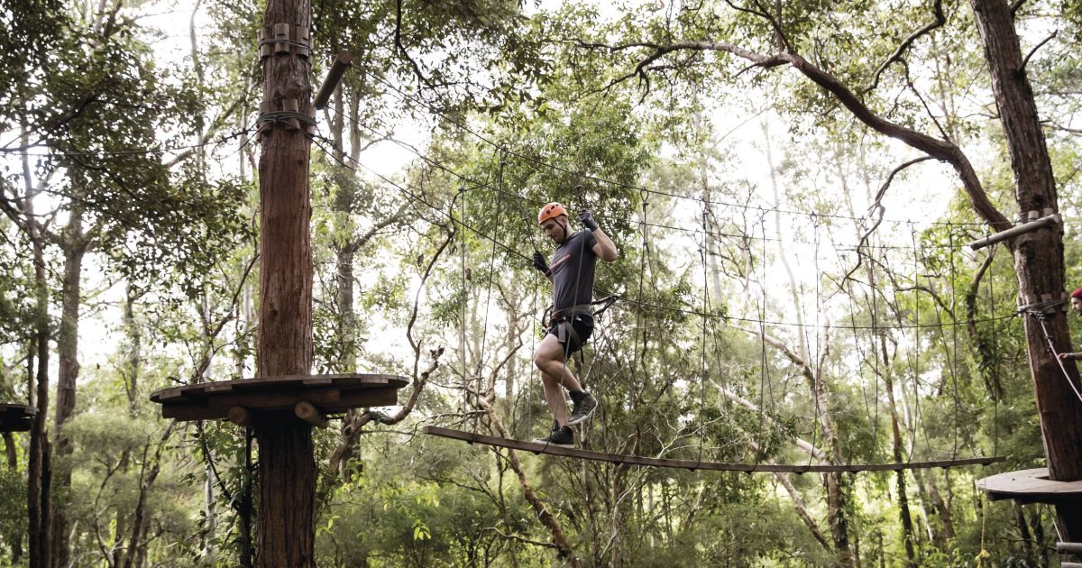Wyong – Accommodation, Maps, Attractions & Event