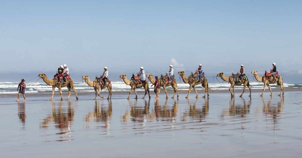 Anna Bay | NSW Holidays & Accommodation, Things to Do, Attractions and ...