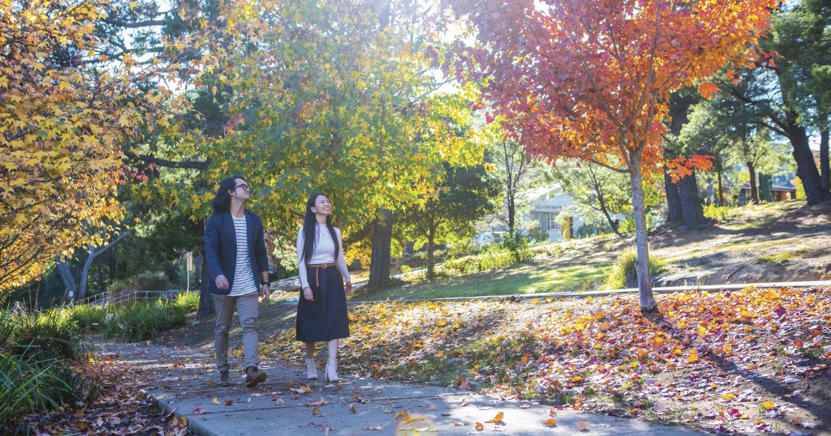 Mittagong – Southern Highlands NSW | Visit NSW