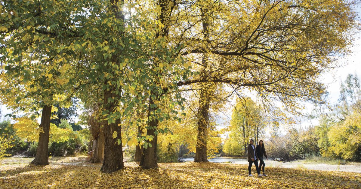 Tumut NSW - Plan a Nature Holiday - Outdoor Activities & Accommodation