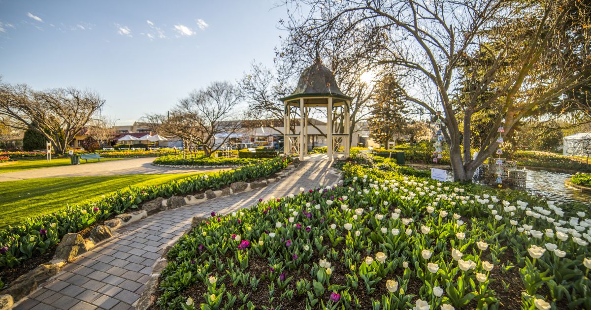 Parks And Gardens NSW – Plan a Holiday – National Parks & Wildlife