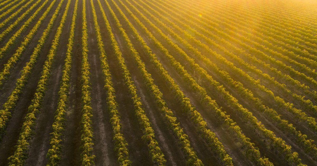 Griffith NSW - Plan a Holiday - Things to Do, Attractions & Hotels