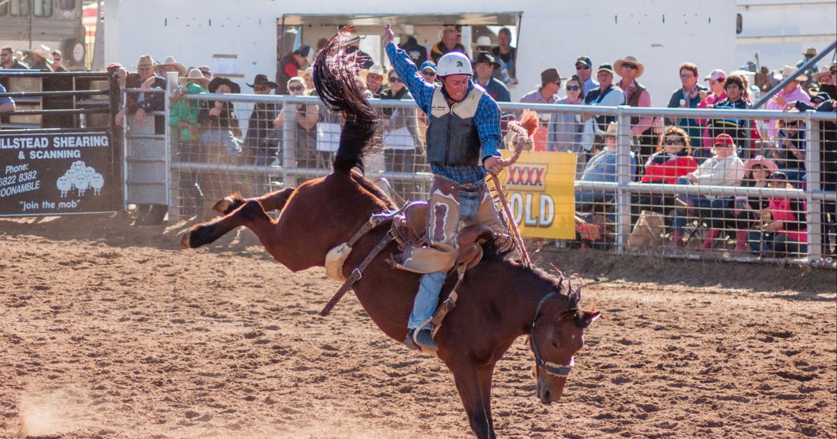 Coonamble NSW - Accommodation, Maps, Attractions & Events