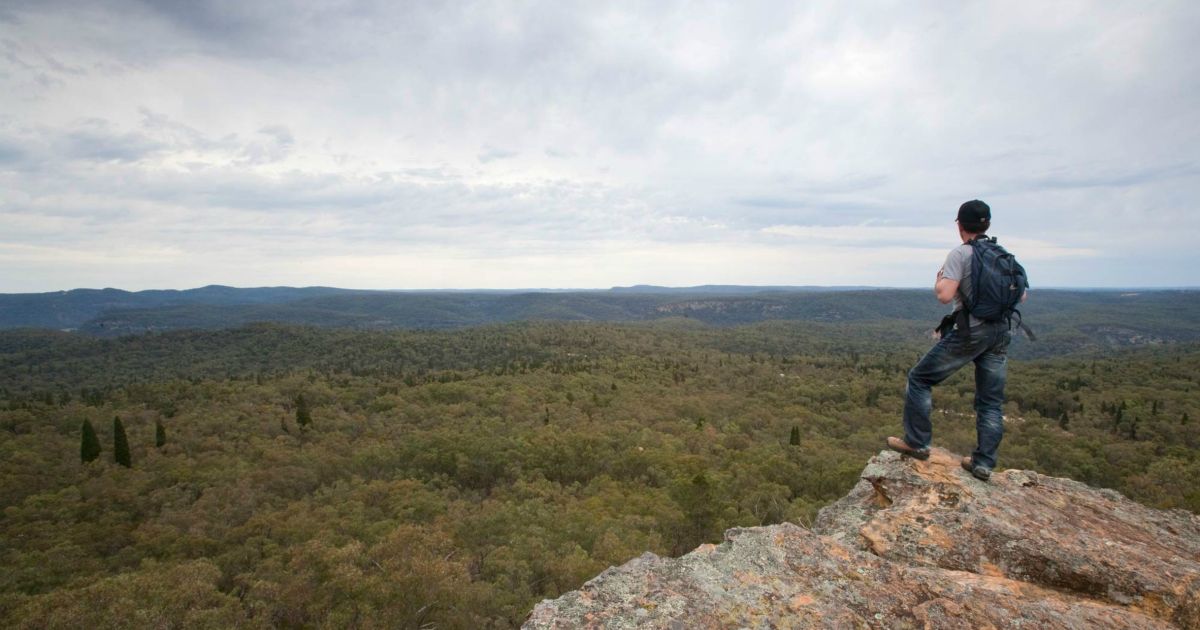 Scone, Upper Hunter – Things to do, events & accommodation | Visit NSW