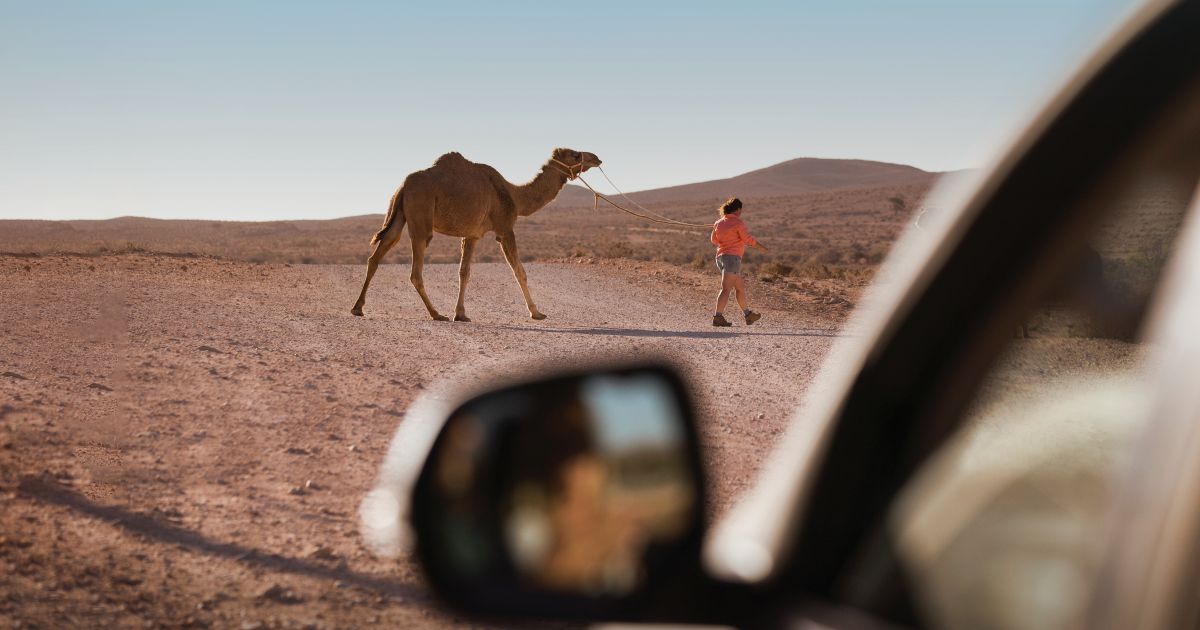 Visit Outback NSW | Camping, Stargazing & National Parks