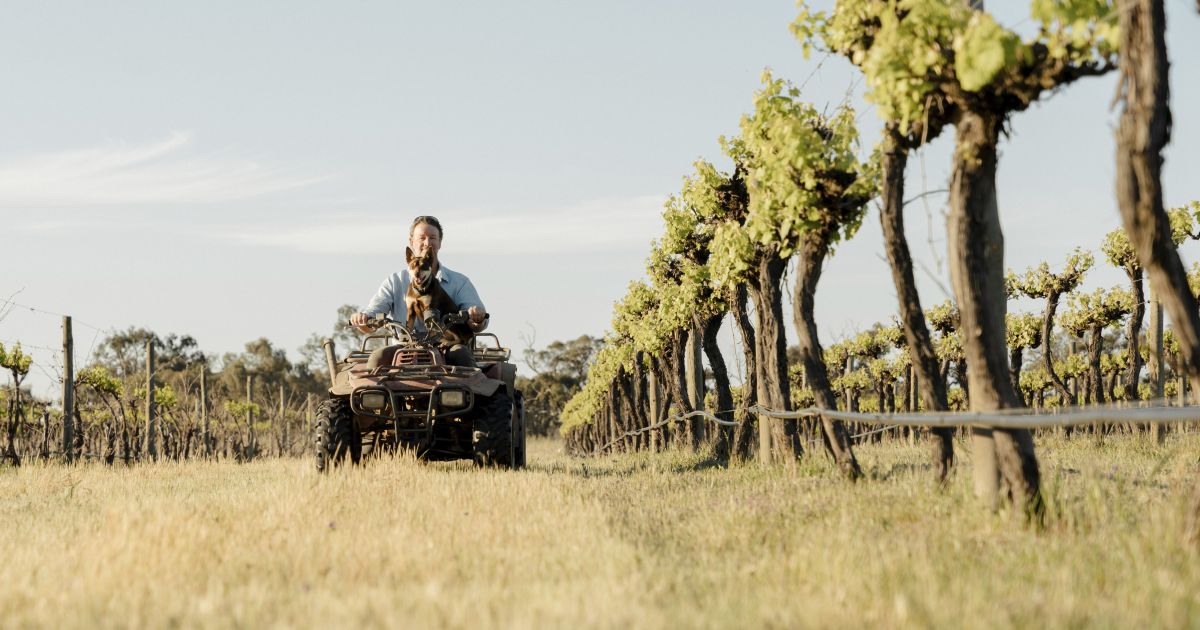 Barham, The Murray – Accommodation, things to do & more | Visit NSW