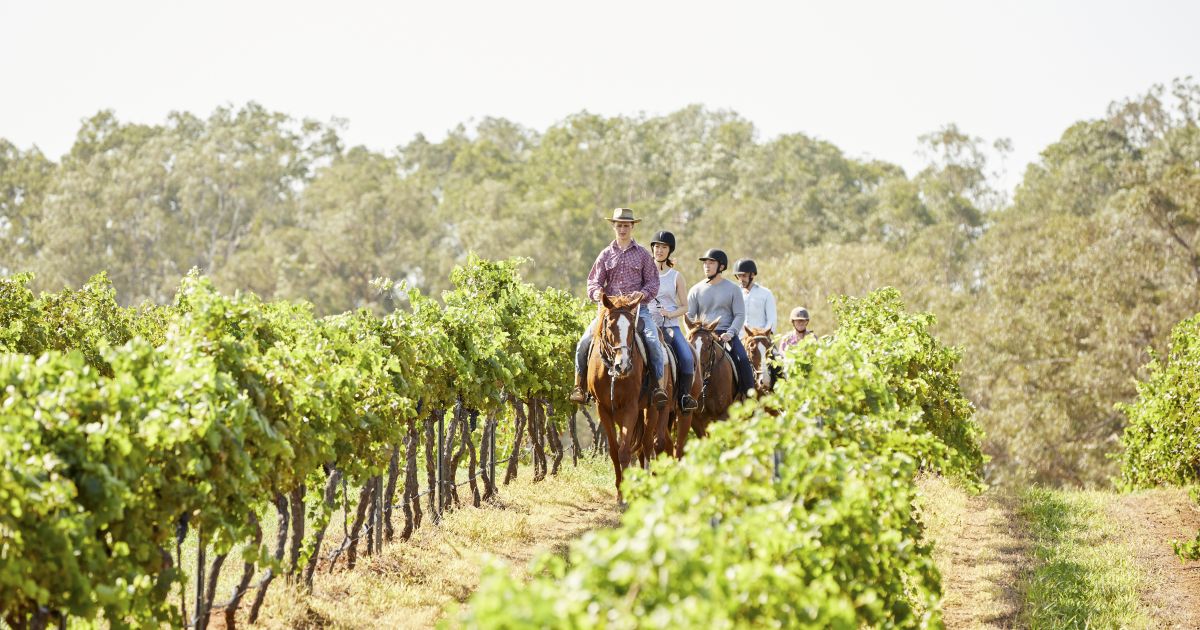 Hunter Valley Things to Do | Visitnsw.com