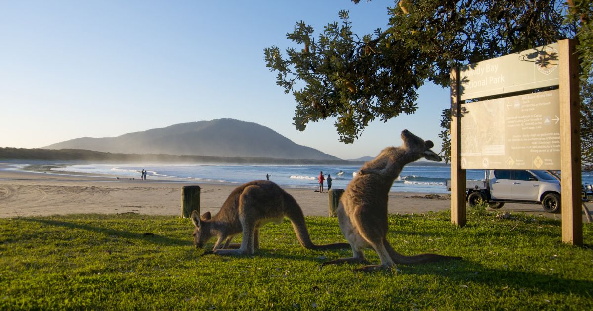 Laurieton, Port Macquarie & surrounds – Accommodation, things to do ...