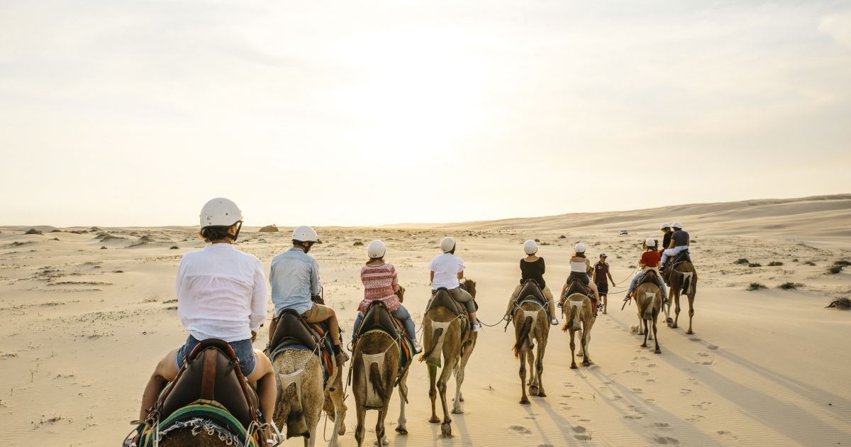 Adventure Articles | Visitnsw.com