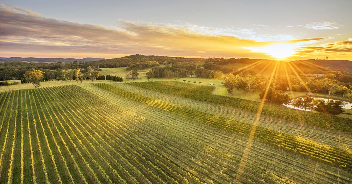 Southern Highlands - Accommodation, towns, wineries & more | Visit NSW