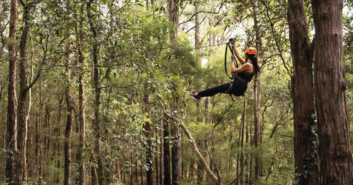 Wyong, Central Coast - Accommodation, things to do & more | Visit NSW