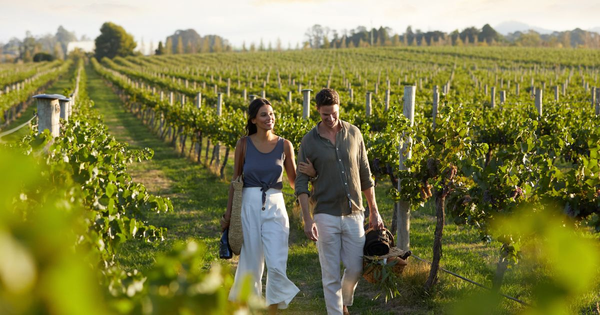 Orange & surrounds, Central West - Accommodation, wineries, things to ...