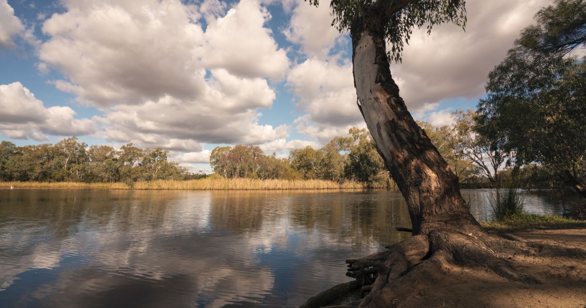 Nyngan – Accommodation, things to do & more | Visit NSW