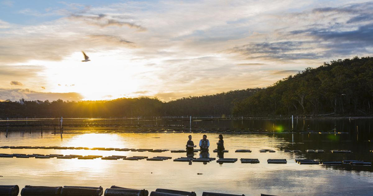 Pambula, Sapphire Coast - Accommodation, river activities & more ...