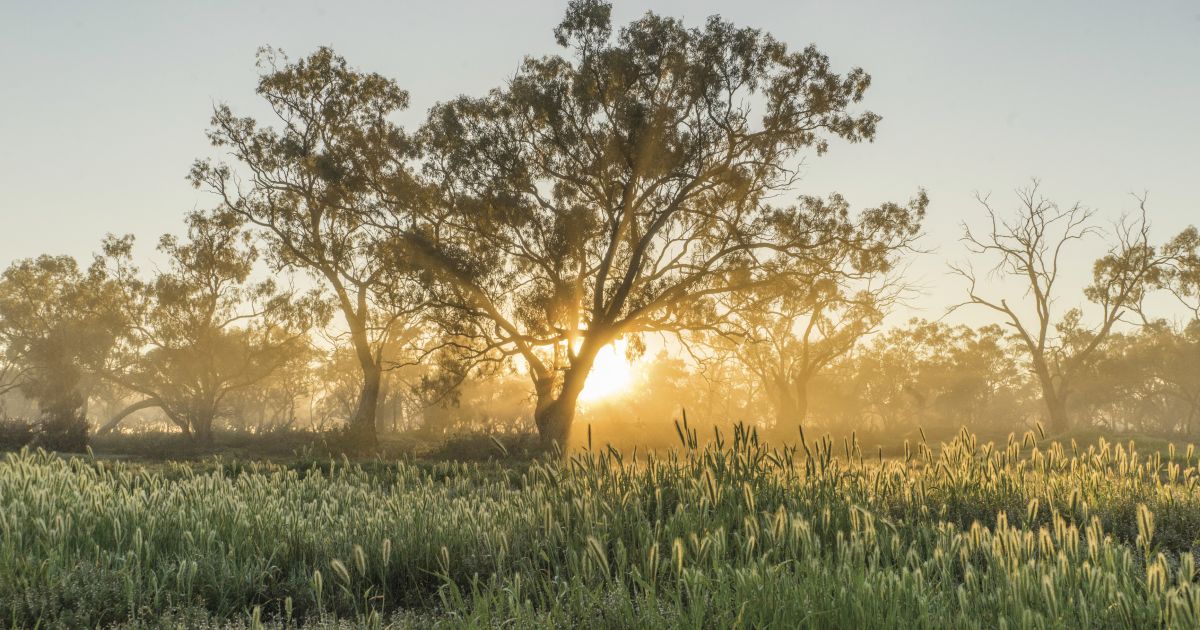 Balranald, The Murray – Accommodation, things to do & more | Visit NSW