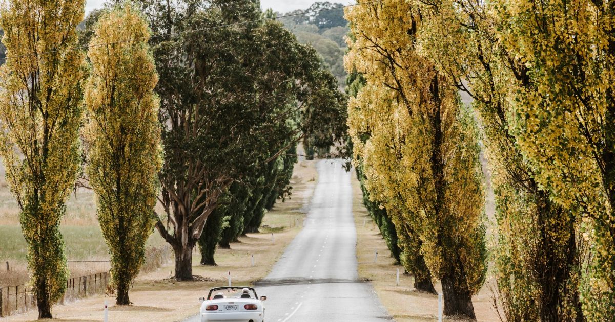 Kandos, Mudgee & surrounds - Accommodation, things to do & More | Visit NSW