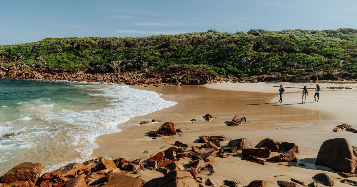 NSWのおすすめ海岸沿いの散歩道とハイキングコース | VisitNSW