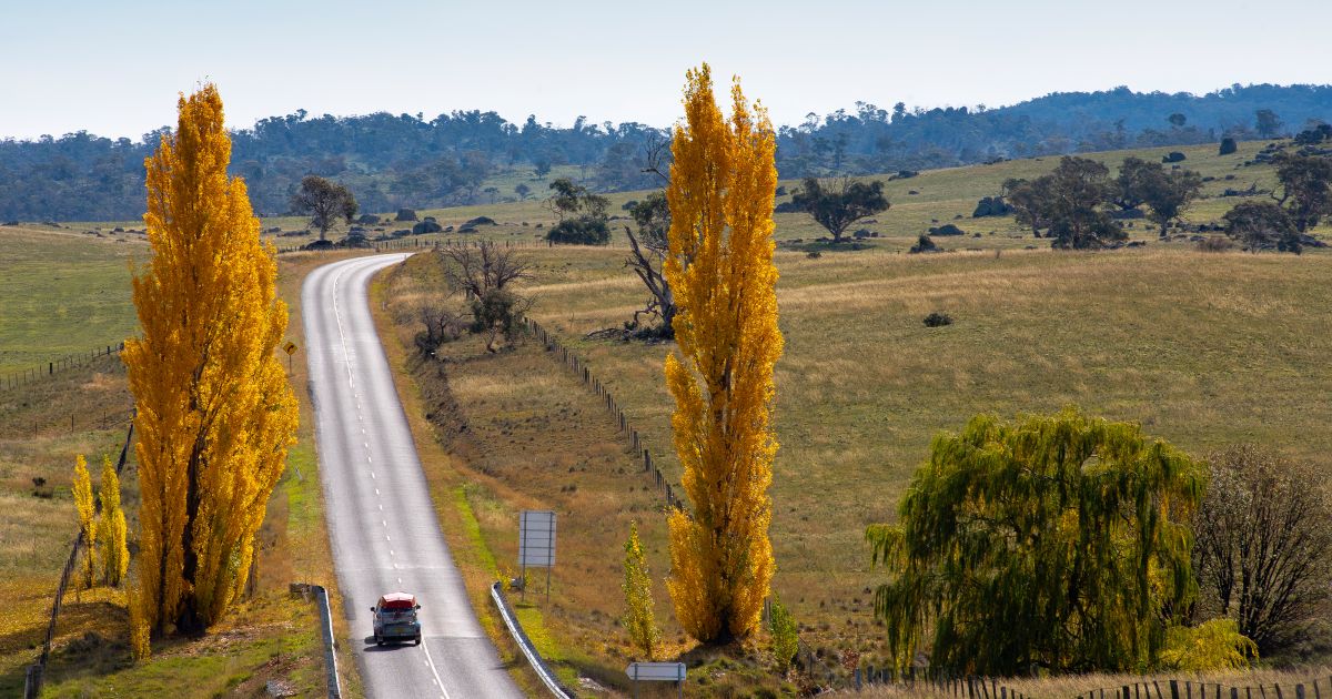 Berridale, Snowy Mountains - Accommodation, things to do & more | Visit NSW