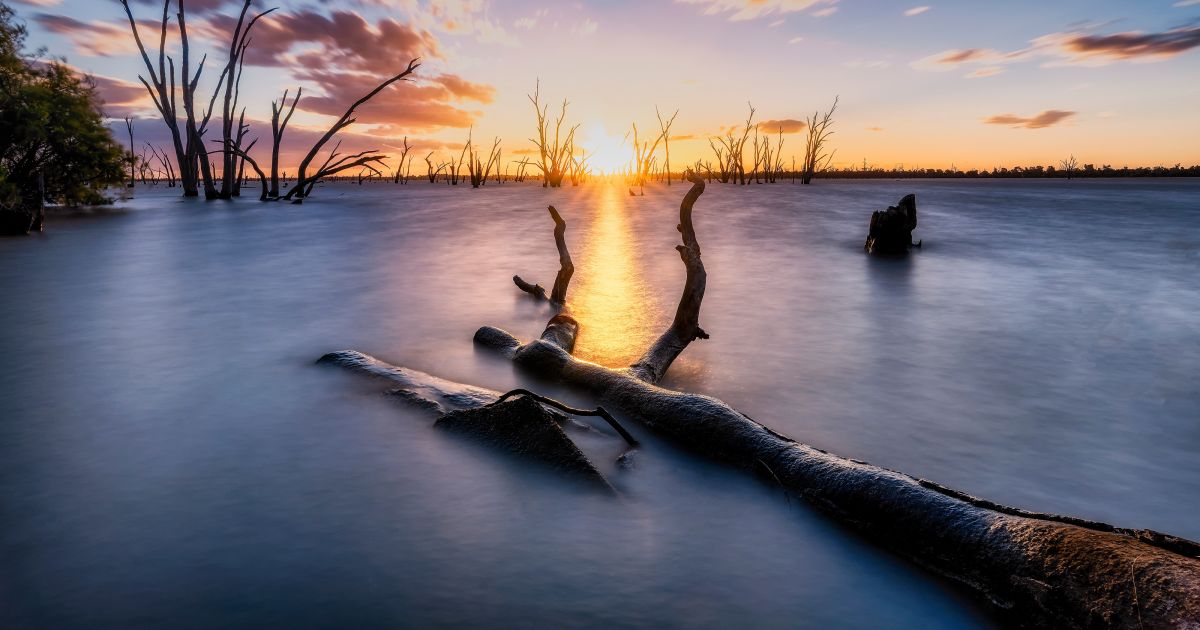 Nature & outdoors activities in The Murray | Visit NSW