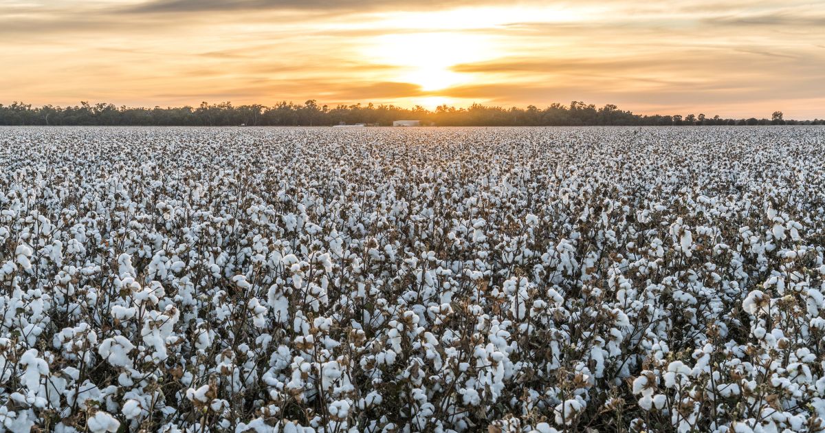 Condobolin, Parkes & surrounds - Accommodation, things to do & more ...