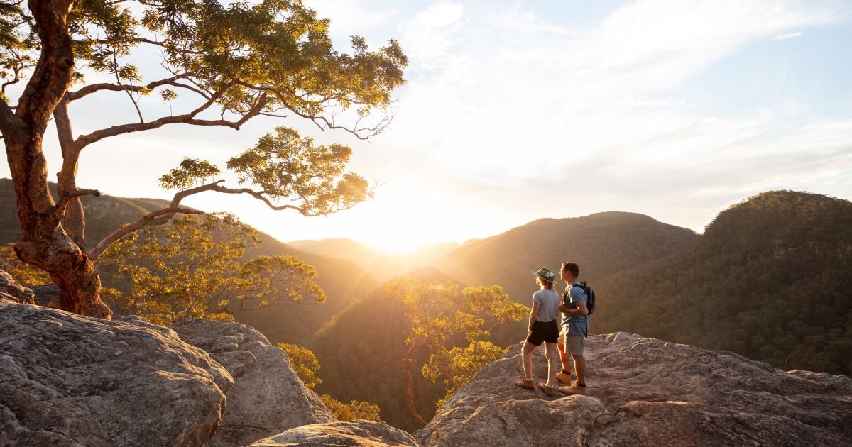 Springwood – Accommodation, things to do & more | Visit NSW