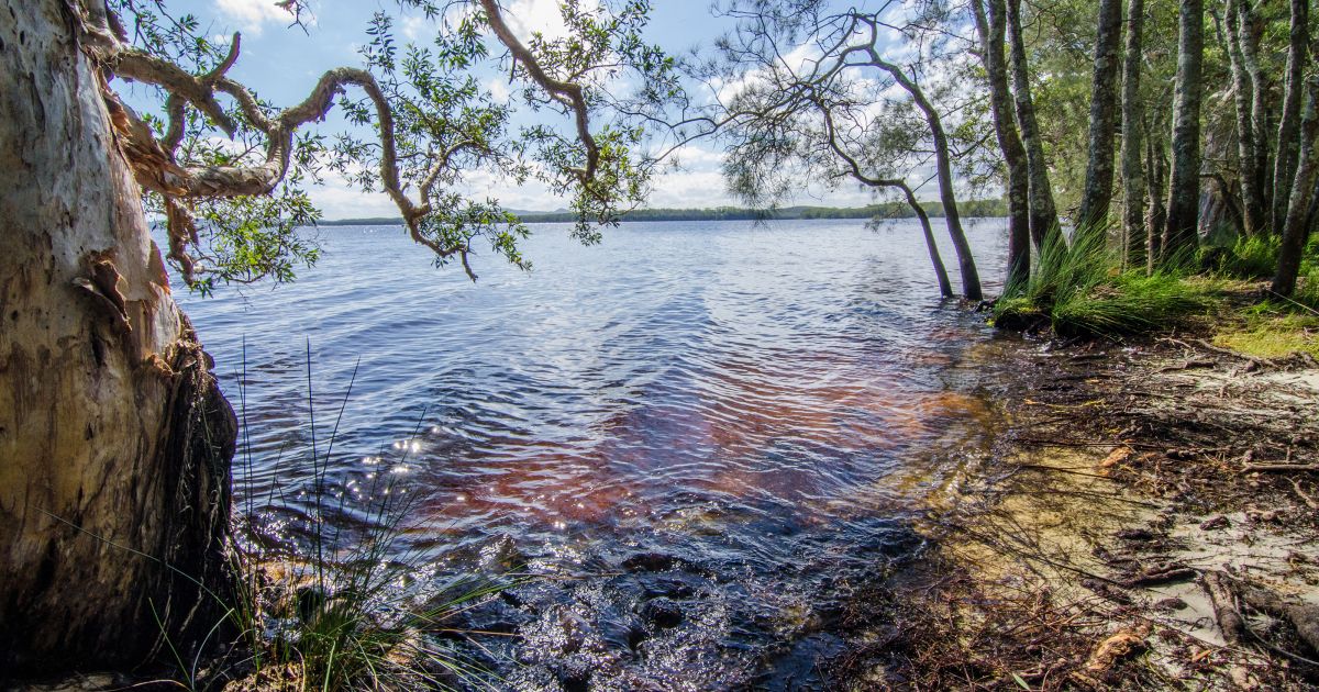 Bulahdelah, Accommodation, things to do & more | Visit NSW