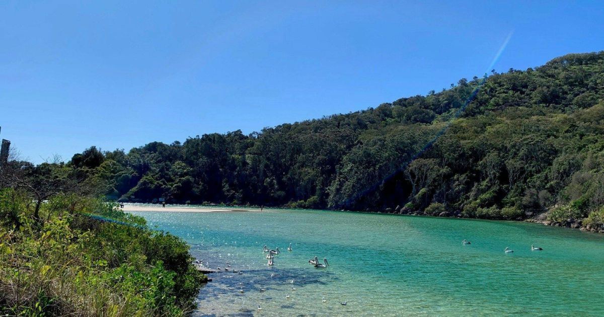 Things to do in South West Rocks | Visit NSW