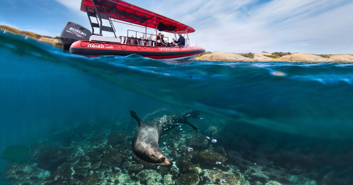 Things to do in Narooma | Visit NSW