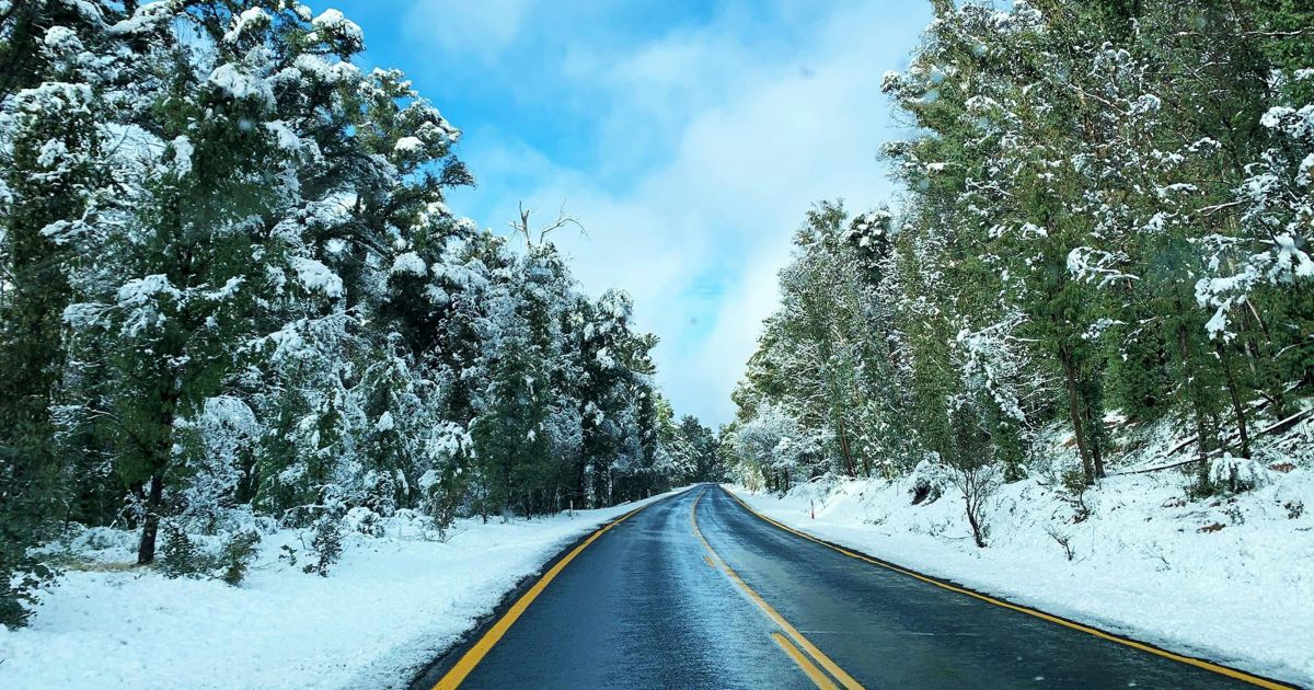 Getting to the Snowy Mountains | Visit NSW