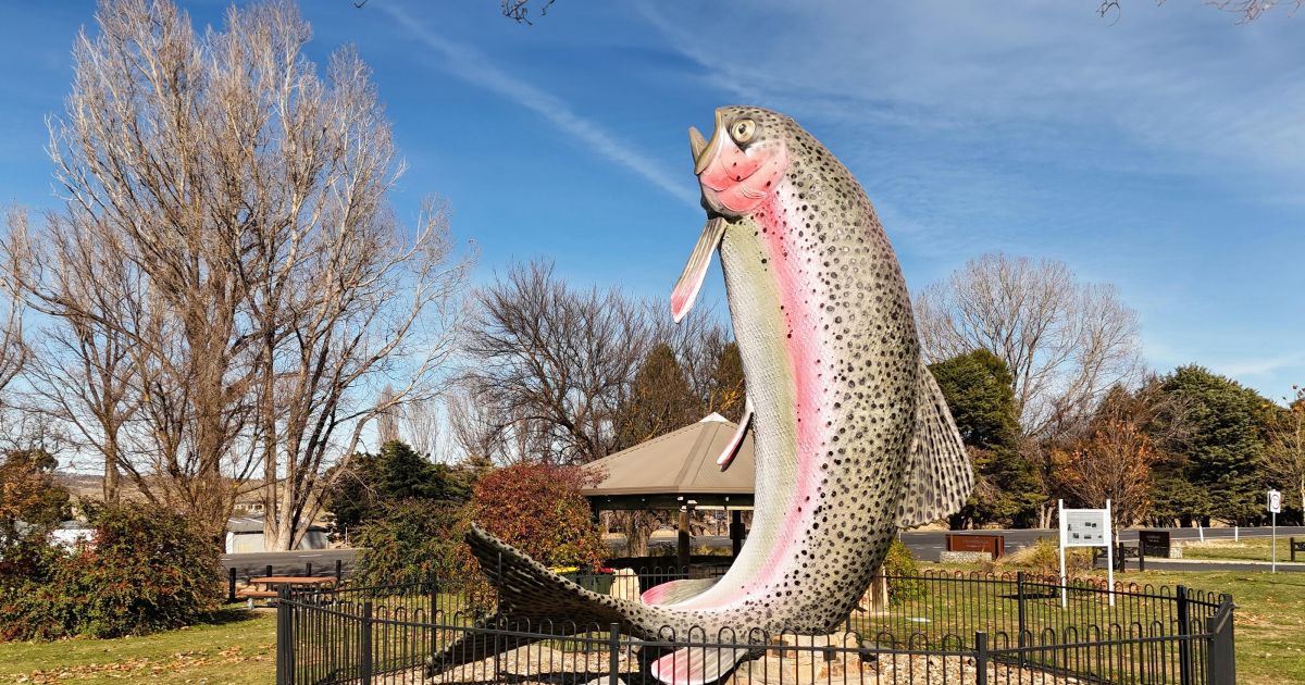 Adaminaby, Snowy Mountains – Accommodation, things to do & more | Visit NSW