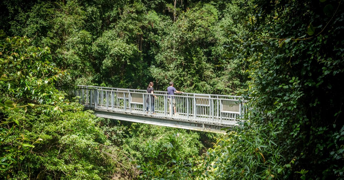 Barrington Tops - Accommodation, Maps, Attractions & Events