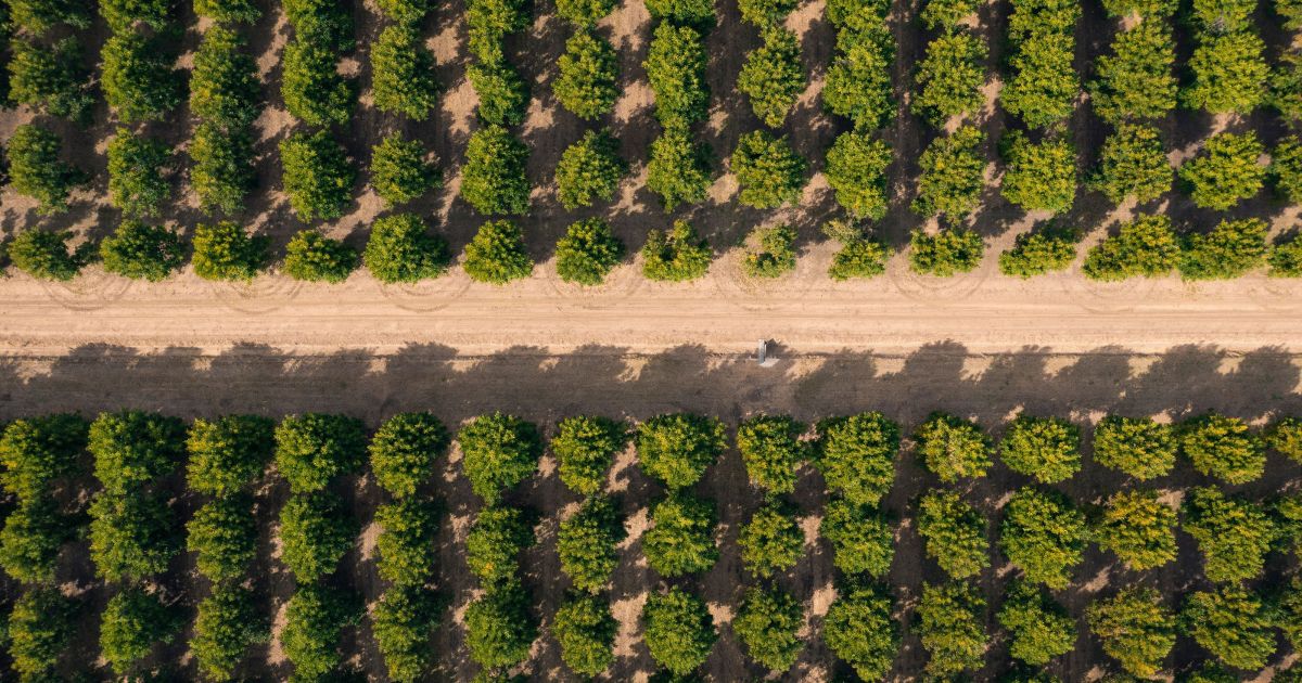 The best things to do in Moree | Visit NSW