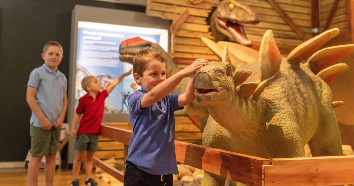 The best things to do in Bathurst | Visit NSW