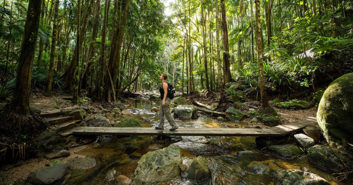 The best things to do in Lismore | Visit NSW