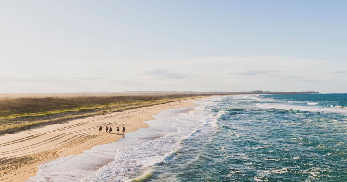 Barrington Coast - Towns to visit, things to do & more | Visit NSW
