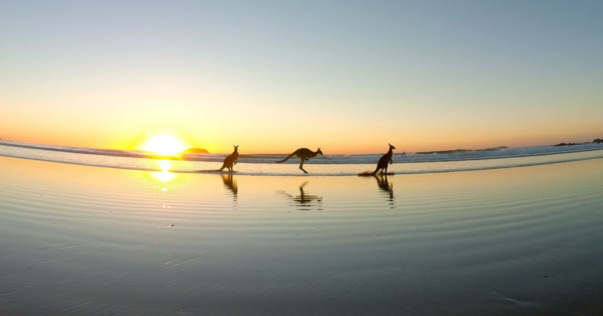 North Coast NSW - Accommodation, camping, towns & events | Visit NSW